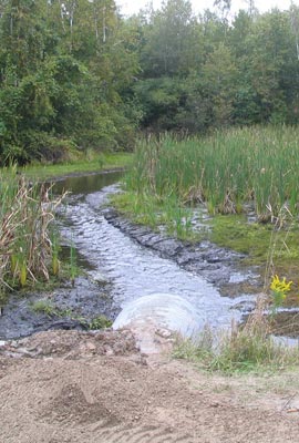 Friends of Mill Creek - Our Projects: Perched Culvert Lowered